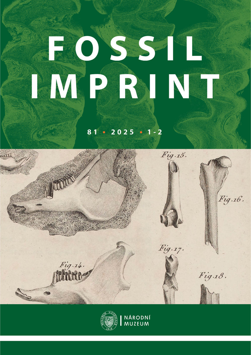 Evolutionary trends in the fourth lower premolar of Ursus rossicus ...